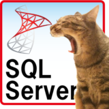 SQL Server Browser を起動する方法 | 猫型iPS細胞研究所